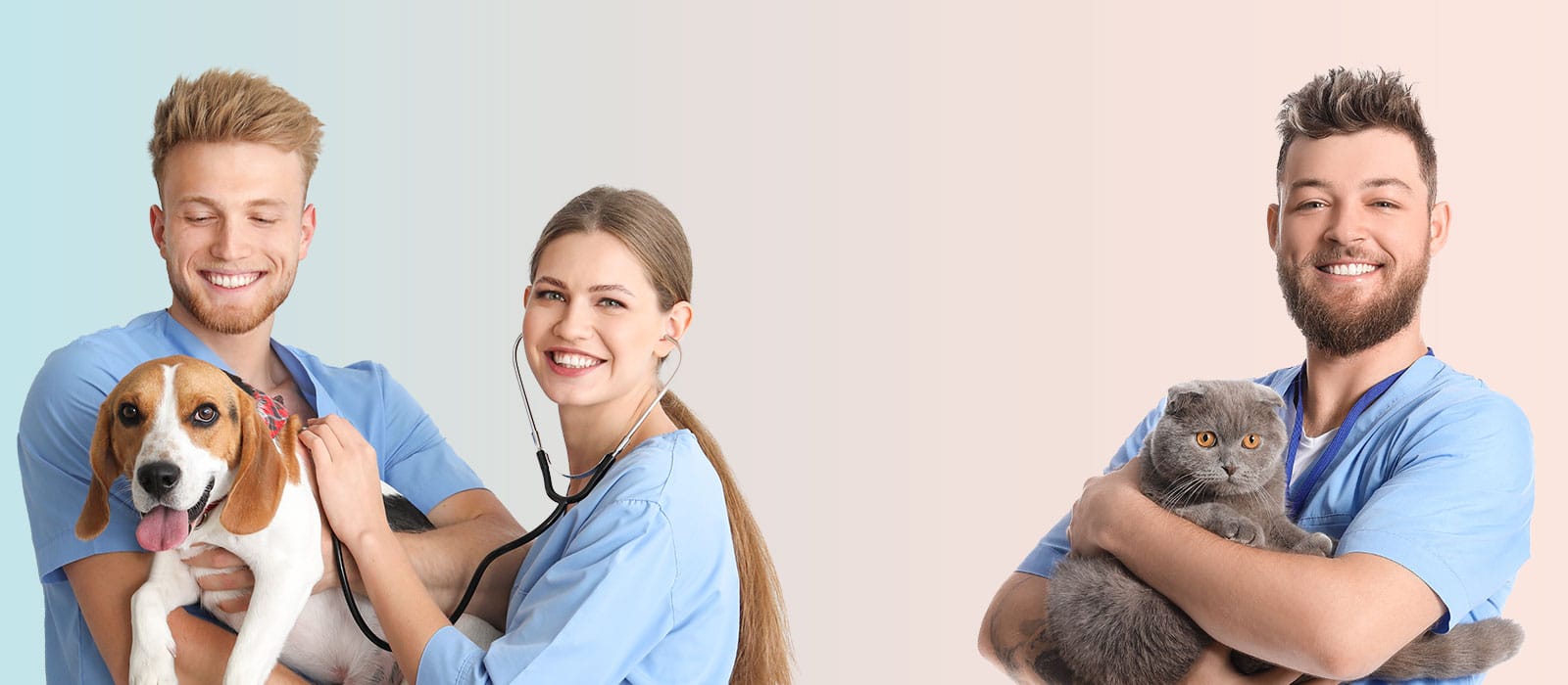 Referral Services for Vet Professionals | Bristol Vet Specialists