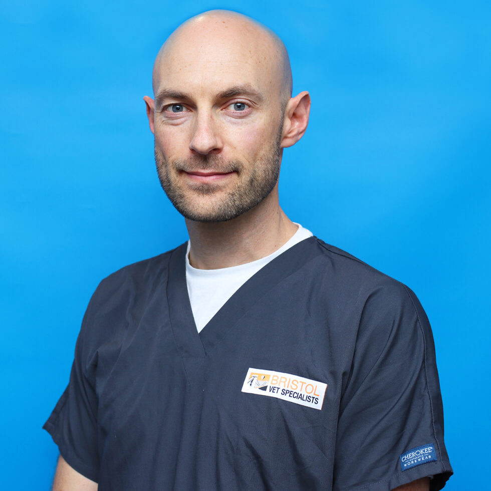 Alex Smith - Bristol Vet Specialists