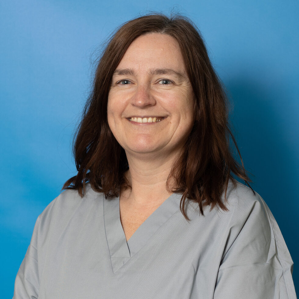 Sarah Leenart - Bristol Vet Specialists