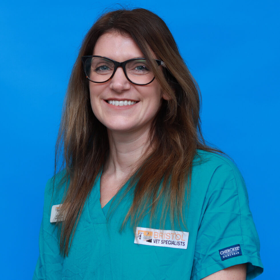 Jennifer White - Bristol Vet Specialists