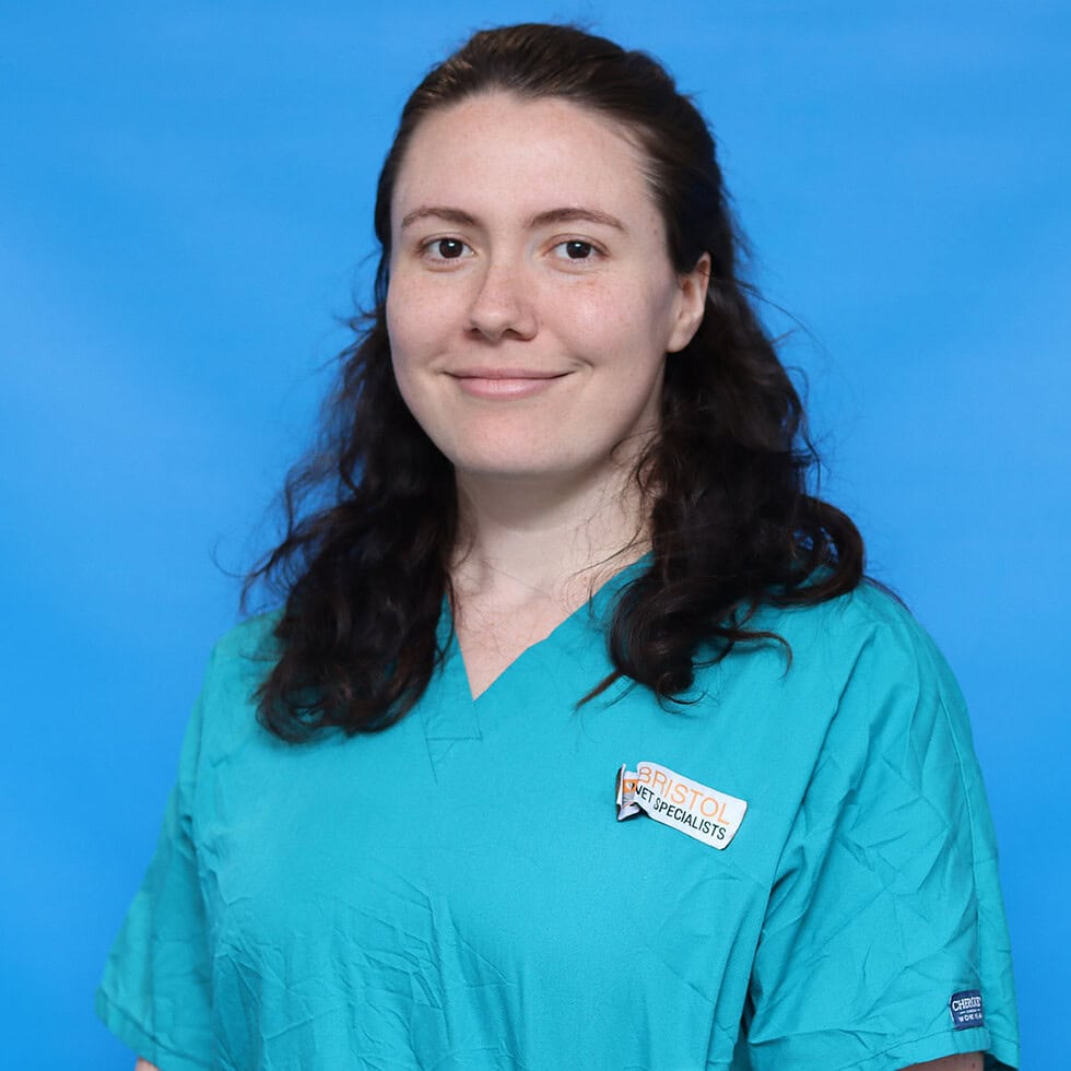 Abbie McMillan - Bristol Vet Specialists